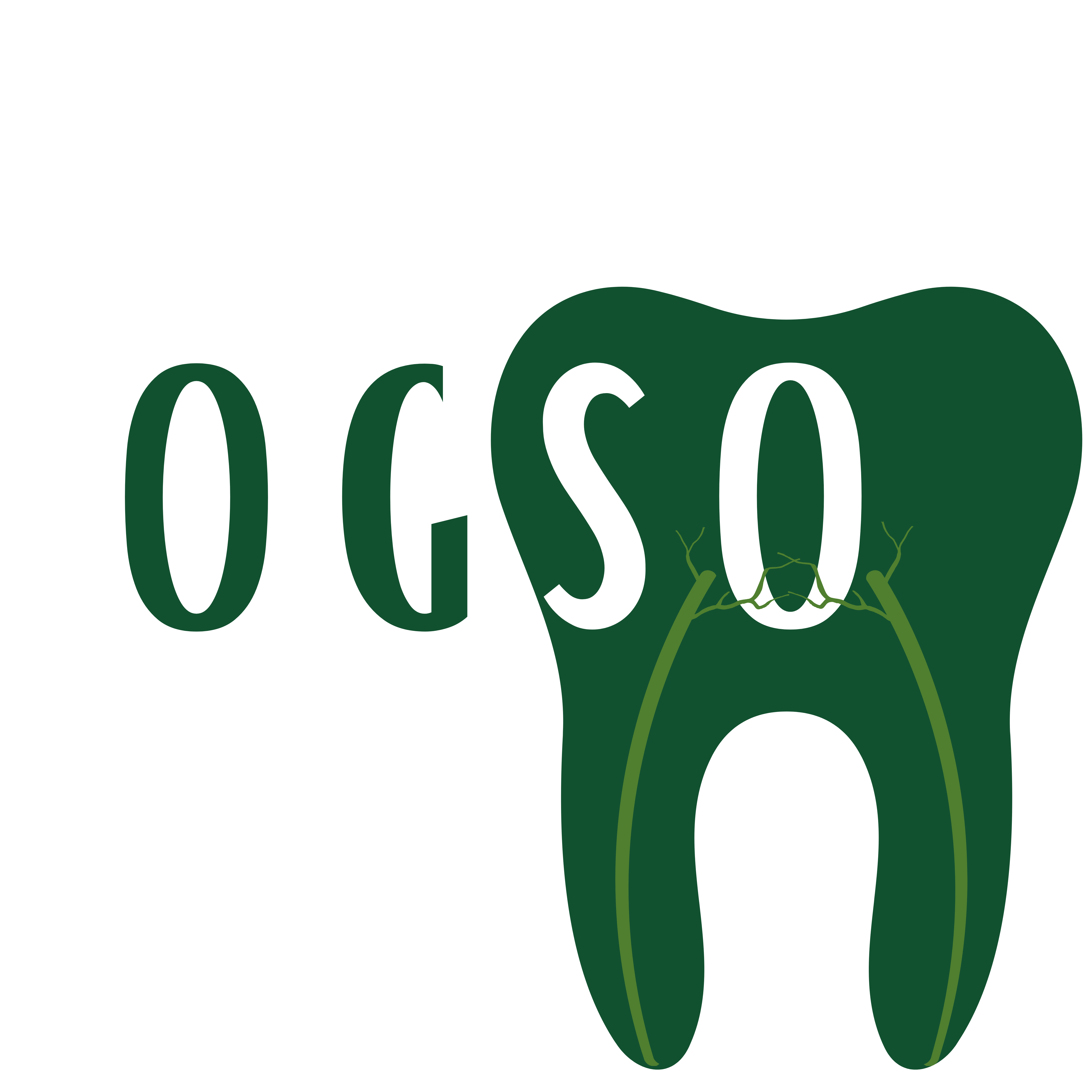 OGSO - CSD OGSO